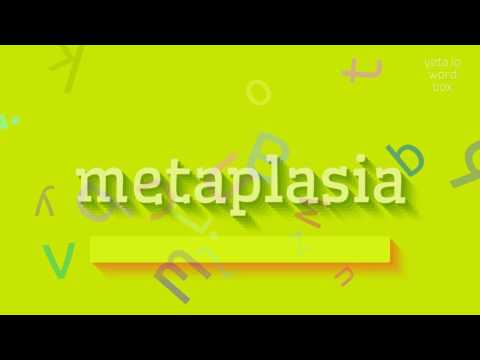 How to say "metaplasia"! (High Quality Voices)