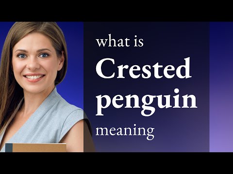 Crested penguin • CRESTED PENGUIN definition