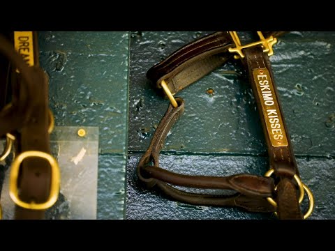 Around the Clock at Keeneland: What happens at the track as the night grows dark