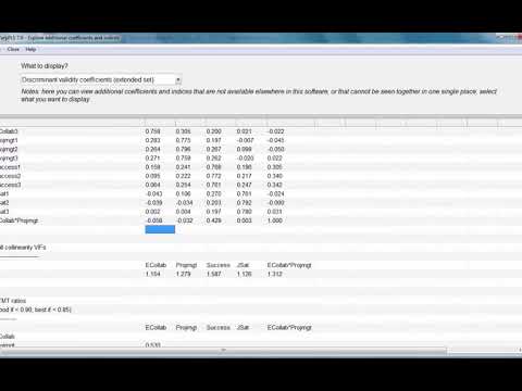 Conduct a discriminant validity assessment with WarpPLS