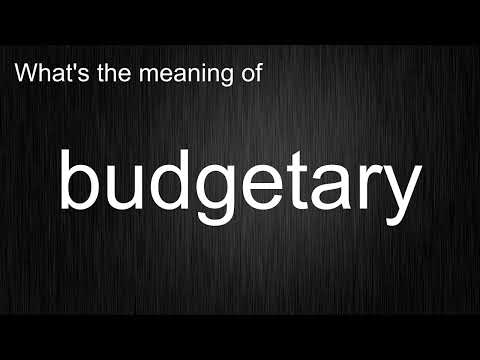 What's the meaning of "budgetary", How to pronounce budgetary?