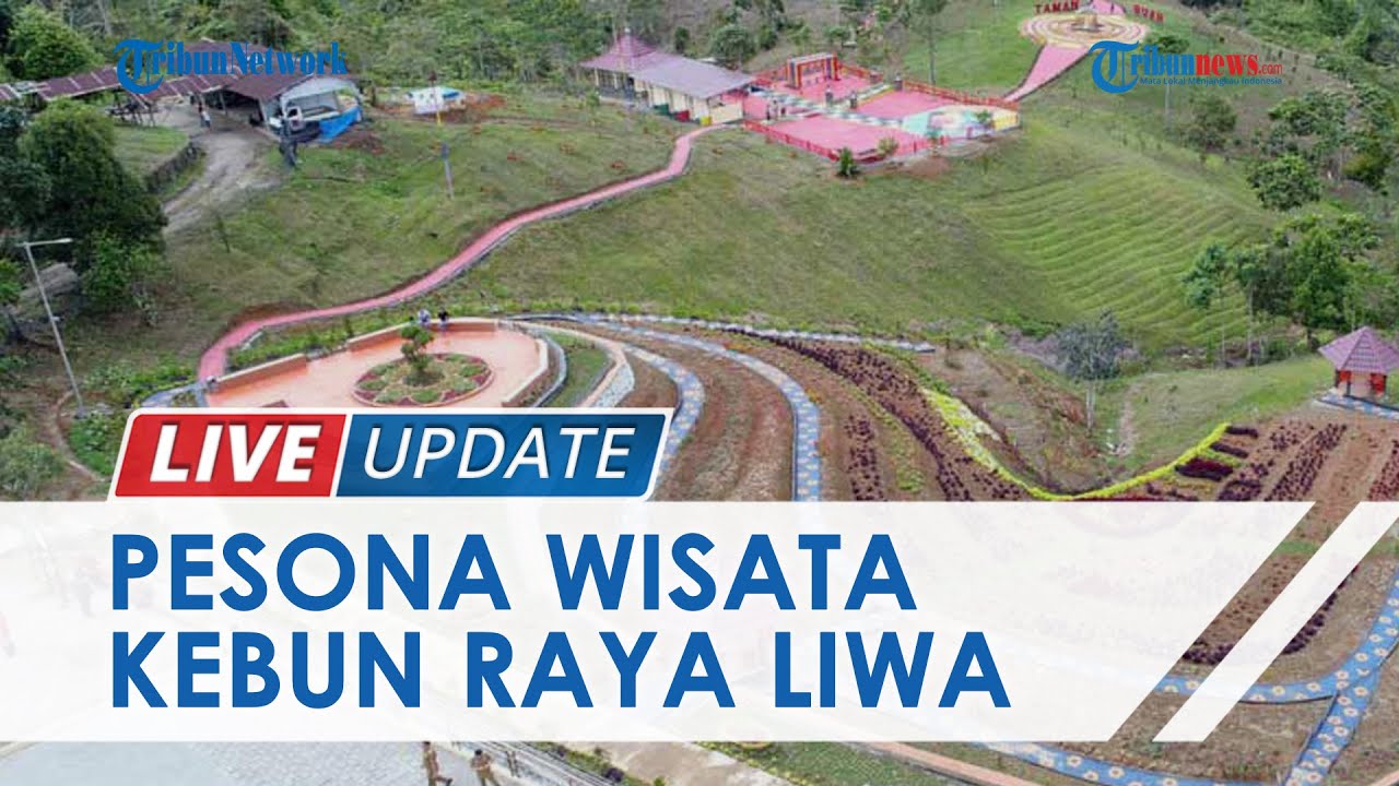 Sejuk dengan Pemandangan Menawan, Kebun Raya Liwa Hadirkan Banyak Bunga ...