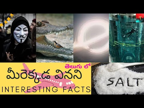 మీరెక్కడ వినని INTERESTING FACTS | Facts in Telugu | TELUGU MYSTIC FACTS
