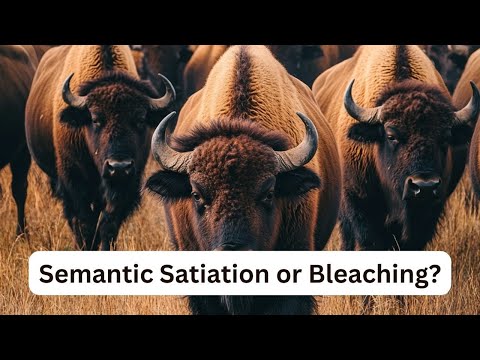 Day 295 - Semantic Satiation or Bleaching?