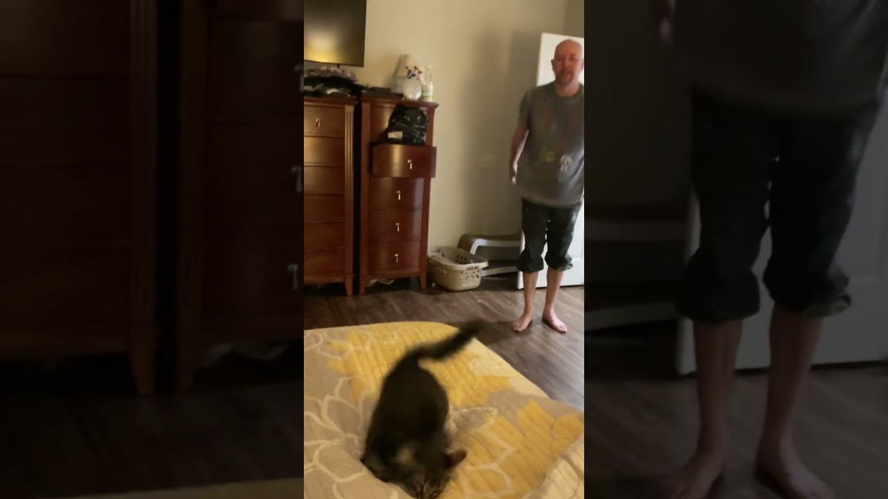 Foster Kittens Litter #10 January 2023 - Wild Thing Flying