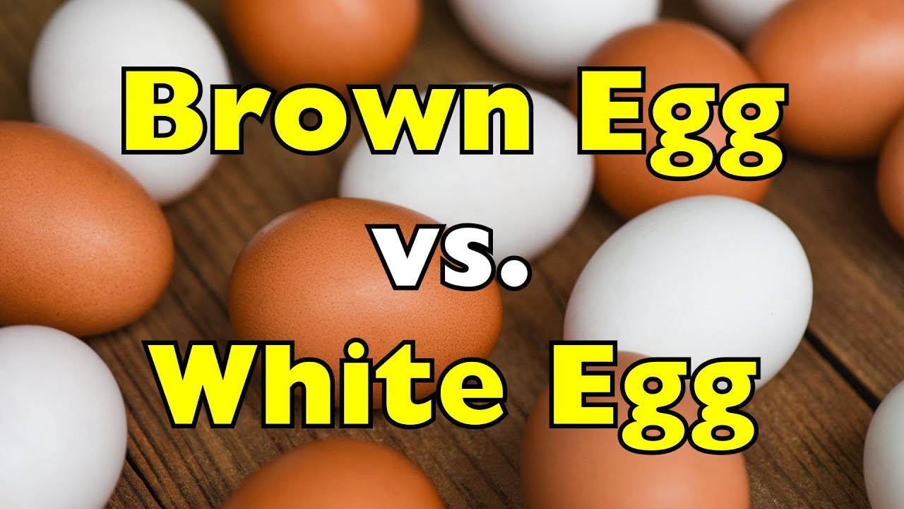 What’s the Real Difference Between Brown Eggs and White Eggs?