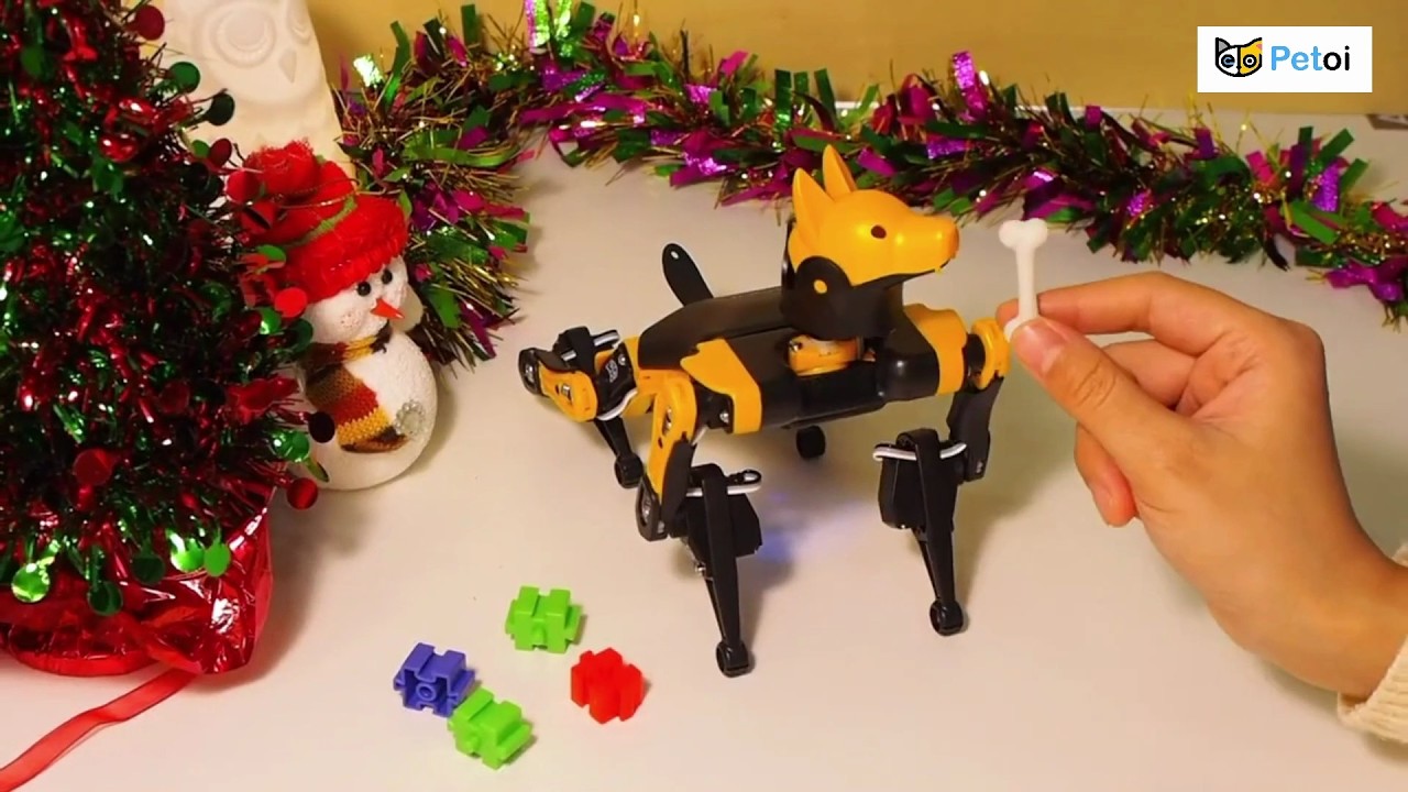 Learn Robotics Coding Easily with Bittle Robot Dog | Petoi Camp