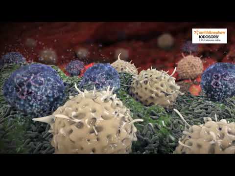 Biofilm Mode of Action & IODOSORB 0.9% Cadexomer Iodine
