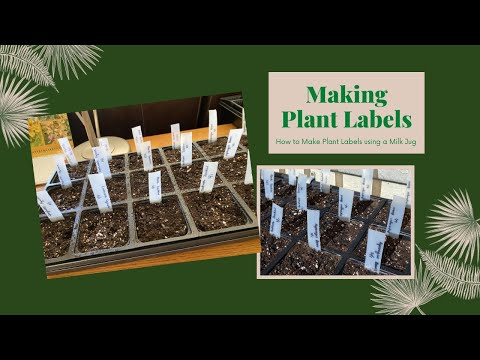 Plant Tags l Plant Labels for Garden