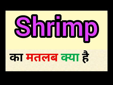 Shrimp meaning in hindi || shrimp ka matlab kya hota hai || word meaning english to hindi