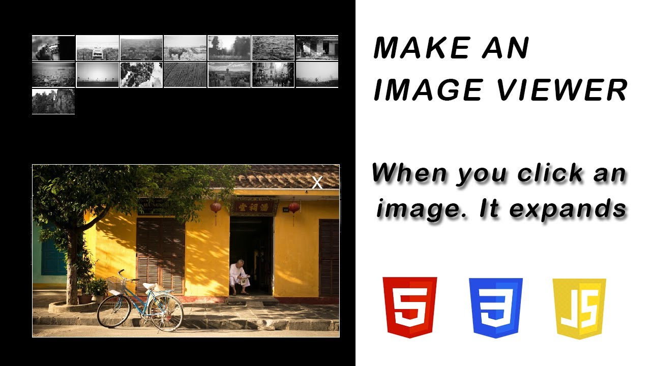 Make an Image Viewer with HTML ,  CSS  & Vanilla JavaScript