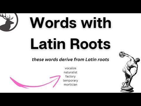 Top 9 English Words with Latin Roots // Interesting English Vocabulary Lesson #ielts #celpip #toefl