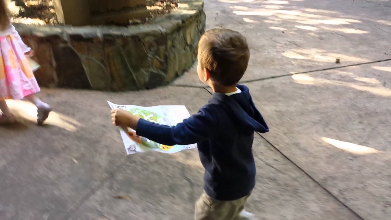 Dom Reading a Map - Zoo Atlanta