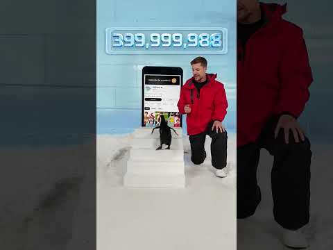 can I Teacher a penguin subscribe ❓