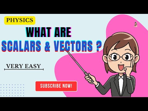 What are the Scalars and Vectors? | Scalar Quantities | Vector Quantities | Physics