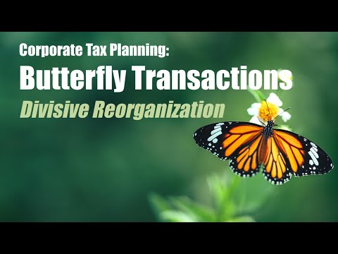 What is a Butterfly Transaction [divisive reorganization for tax-free division of corporate assets]