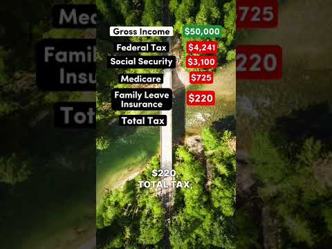 Living on a $50k Salary After Taxes in Washington #washington #democrat #republican #viral