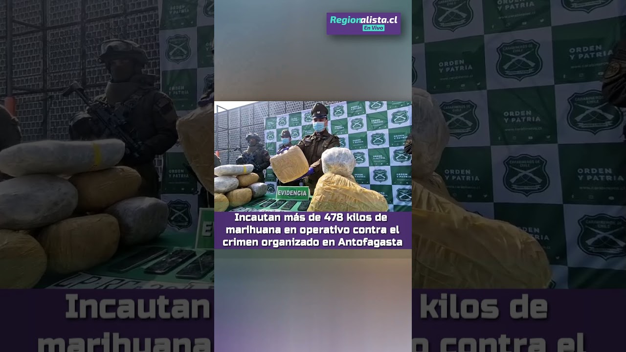 #Policial | Incautan más de 478 kilos de marihuana en operativo contra el crimen organizado