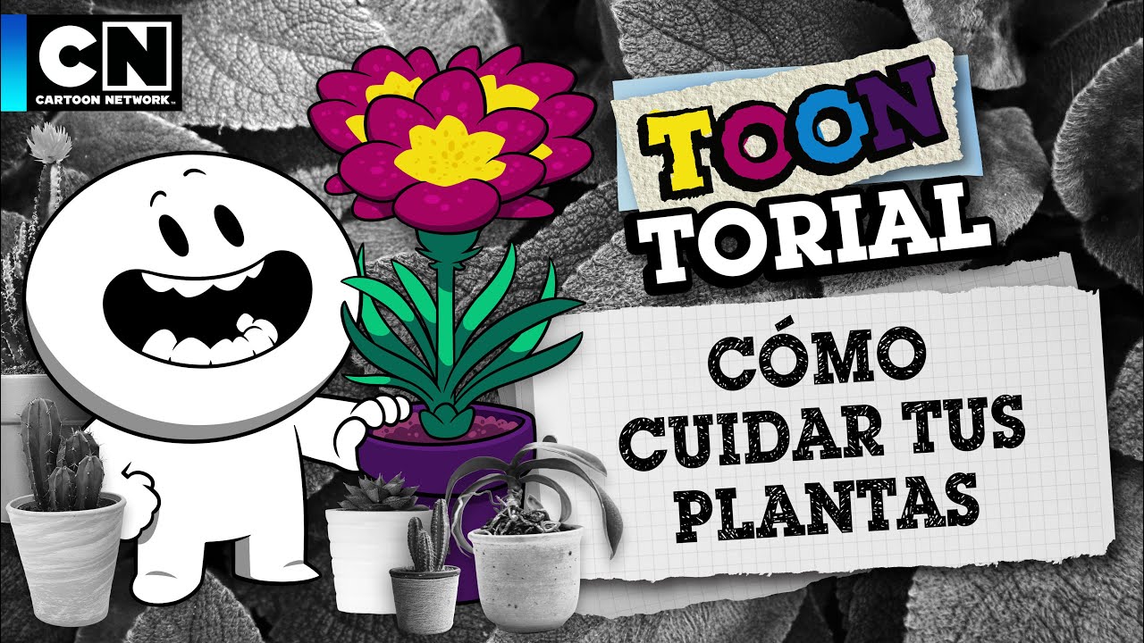 CÓMO CUIDAR TUS PLANTAS | TOONTORIAL | CARTOON NETWORK