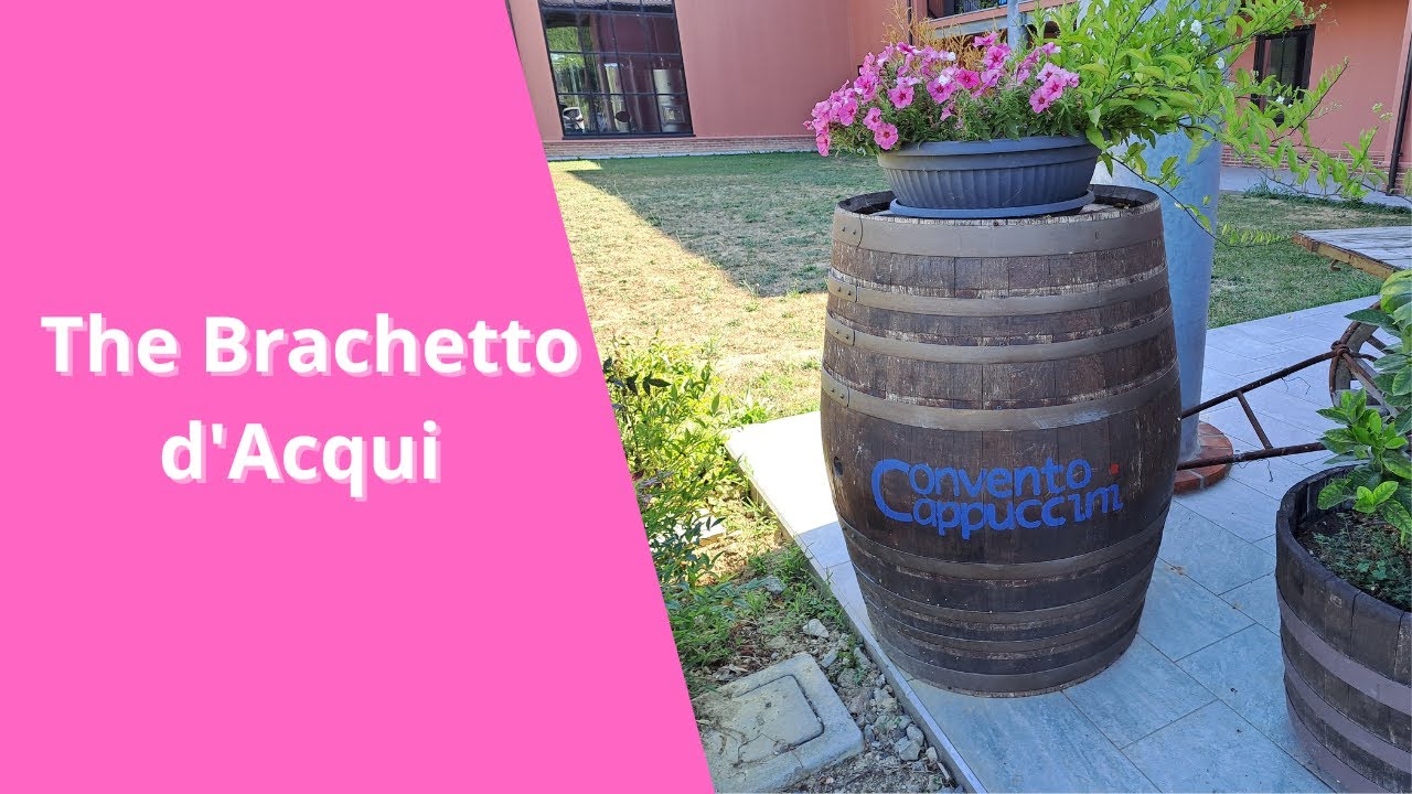 Brachetto d'Acqui The Sweet Surprise in the World of Wine!