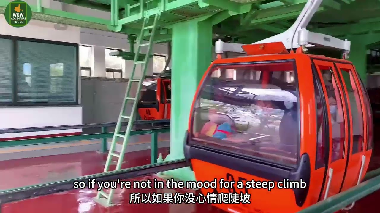 Planning to Visit Mutianyu Great Wall? Watch This Must-See Guide!