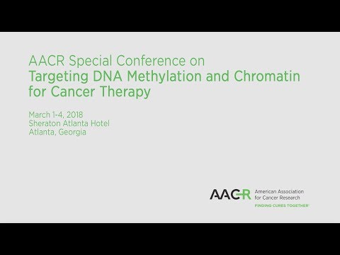 Targeting DNA Methylation and Chromatin for Cancer Therapy