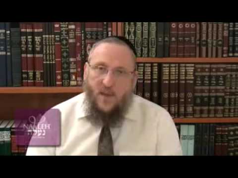 Eicha: Yirmiyahu's Kinna