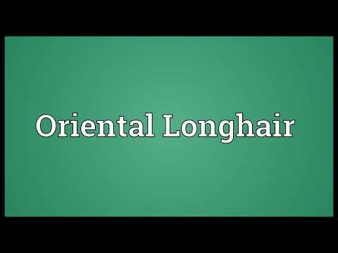 Oriental Longhair Meaning