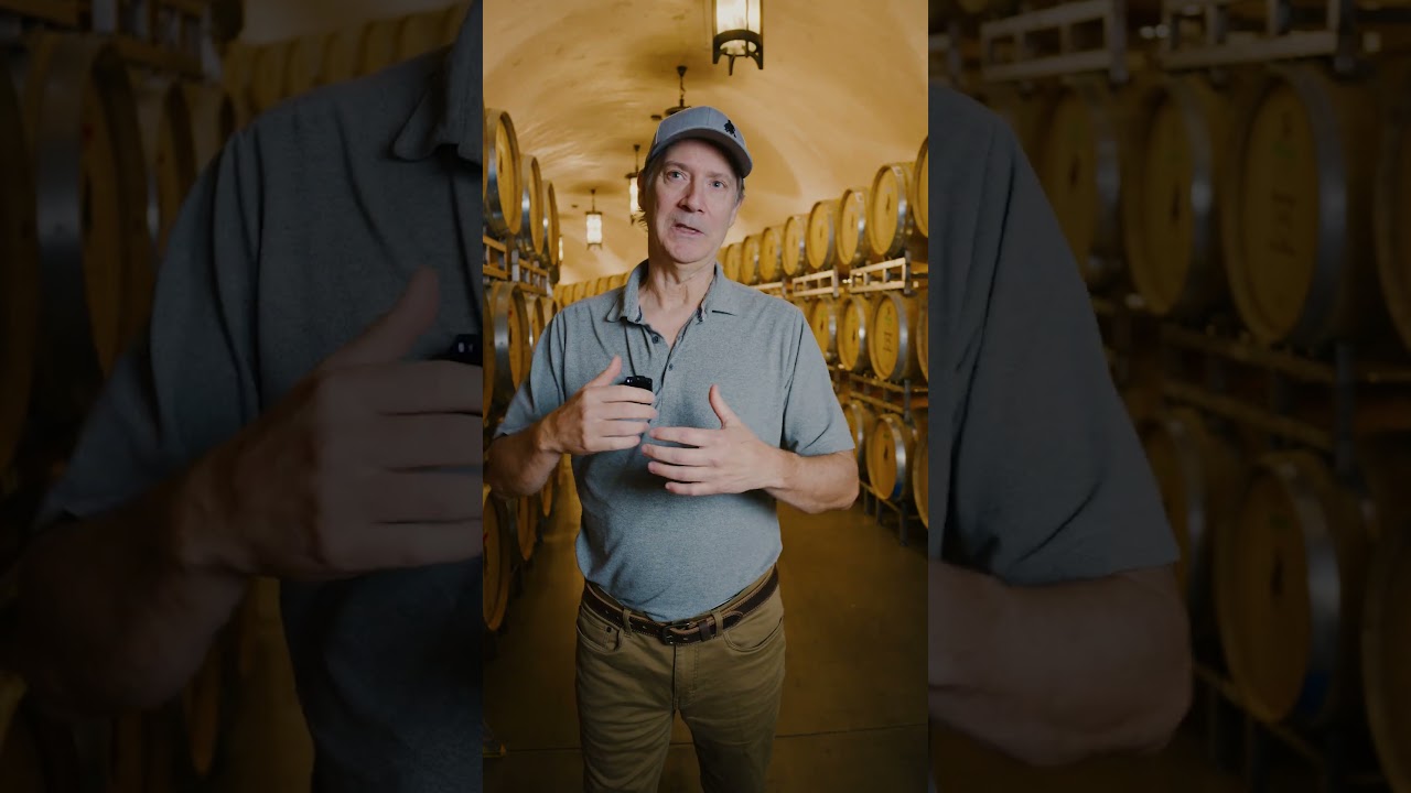 What Wine to bring to Christmas Dinner