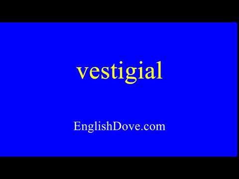 How to pronounce vestigial in American English.