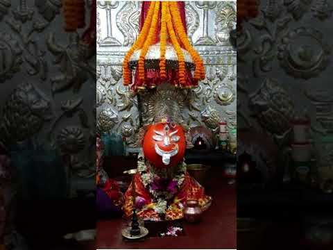 maa Chandrahasini 🙏 Chandrahasini chhattisgarh #maa#chhattisgarhi#mata#matarani#viral#cg#shorts