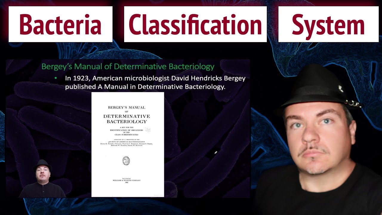 Classification Systems for Bacteria and Archaea