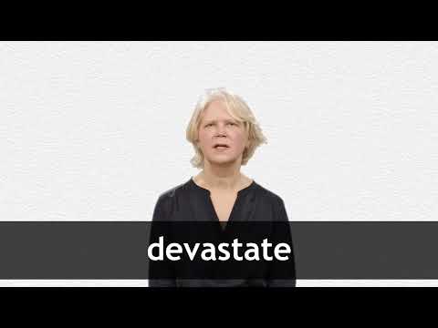 DEVASTATE definition in American English | Collins English Dictionary
