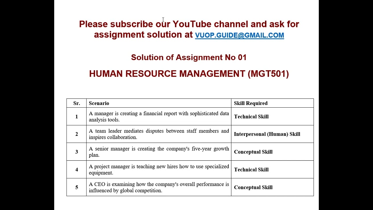 MGT501 Assignment No. 01 Solution | Human Resource Management | Fall 2025