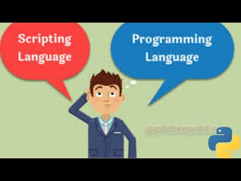 Scripting language and Programming language