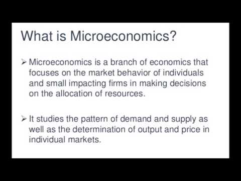 Definition of Micro Economics