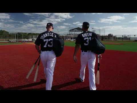 Detroit Tigers Roster Breakdown (2023)
