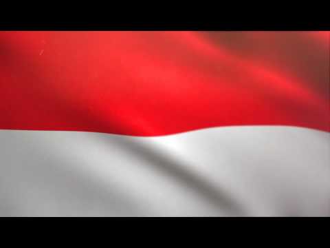 Indonesian Flag waving animated using MIR plug in after effects - free motion graphics