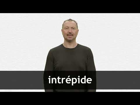 English Translation of “INTRÉPIDE” | Collins French-English Dictionary
