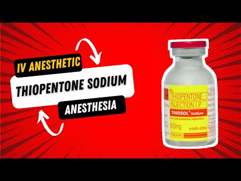 Thiopental Sodium Injections - Sodium Thiopental Latest Price ...