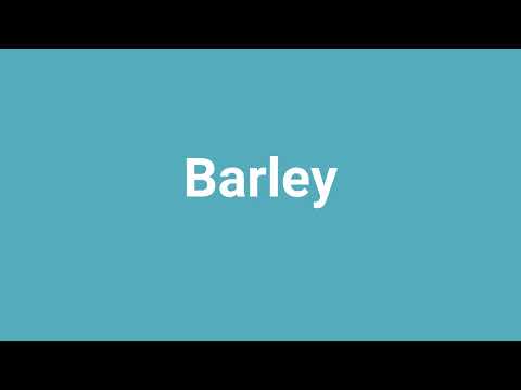 'Barley' Meaning and Pronunciation