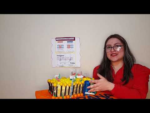 TRANSPORTE ACTIVO Y PASIVO ANA CECILIA