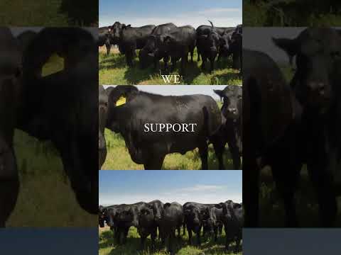 Three words: We. Support. Cattle.