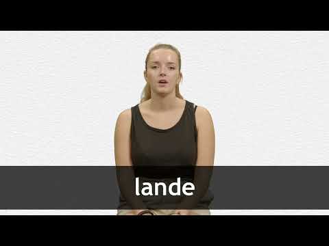English Translation of “LANDE” | Collins French-English Dictionary