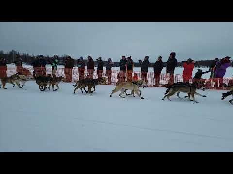 2024 Iditarod "The Last Great Race" Willow Alaska.