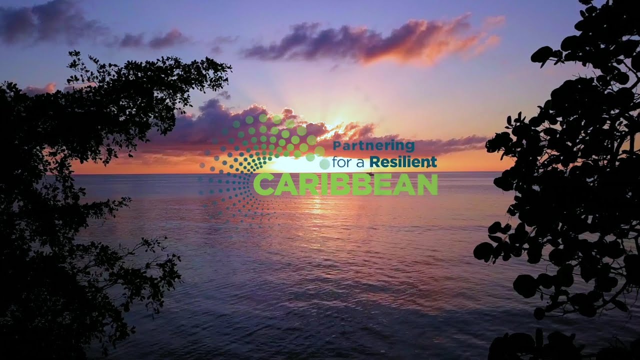 Partnering for a Resilient Caribbean