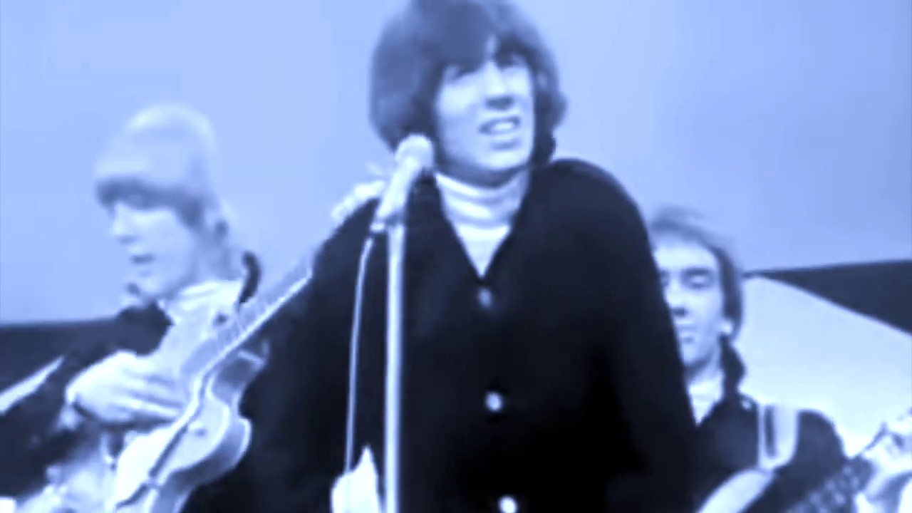 Guitar Guardian Interview With Michael Molenda – Guitardoor