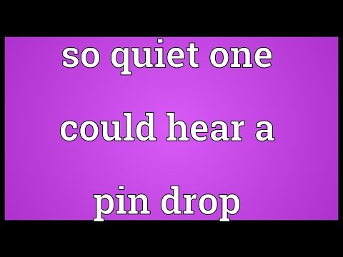 So quiet one could hear a pin drop Meaning