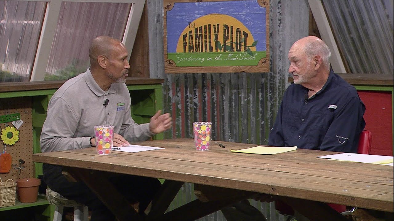 The Family Plot - May 10, 2025