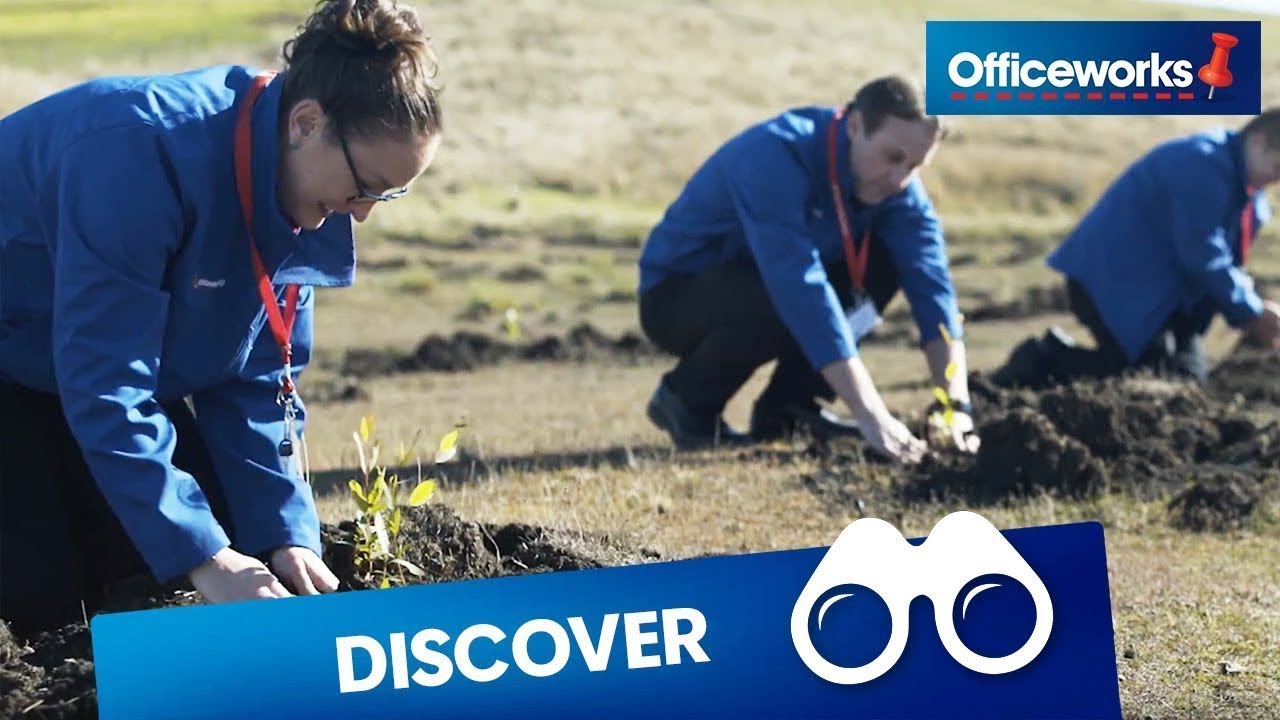 A4 Certificate Frame Gold | Officeworks